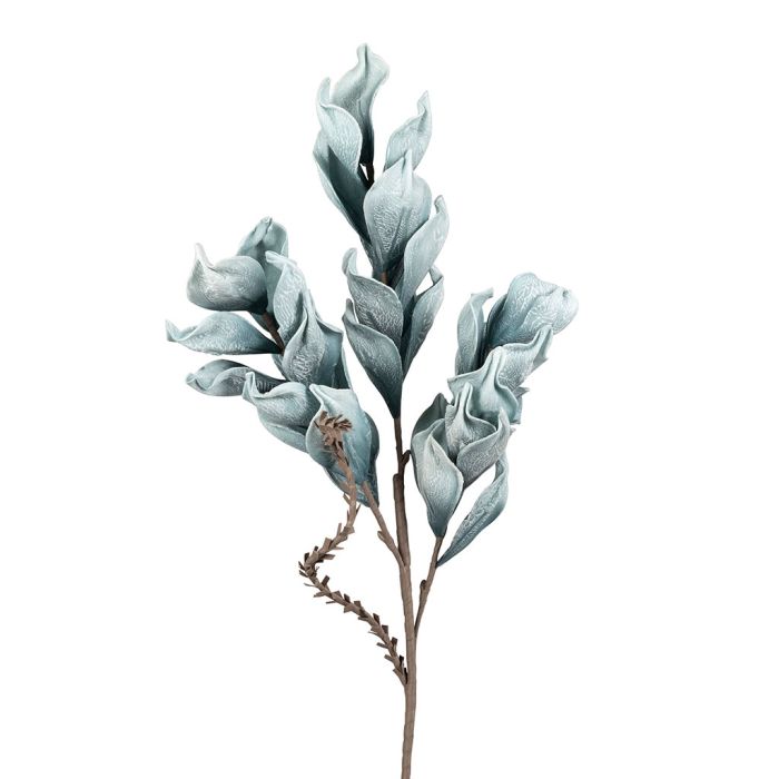 Flor Roma – Pino & Jacaranda